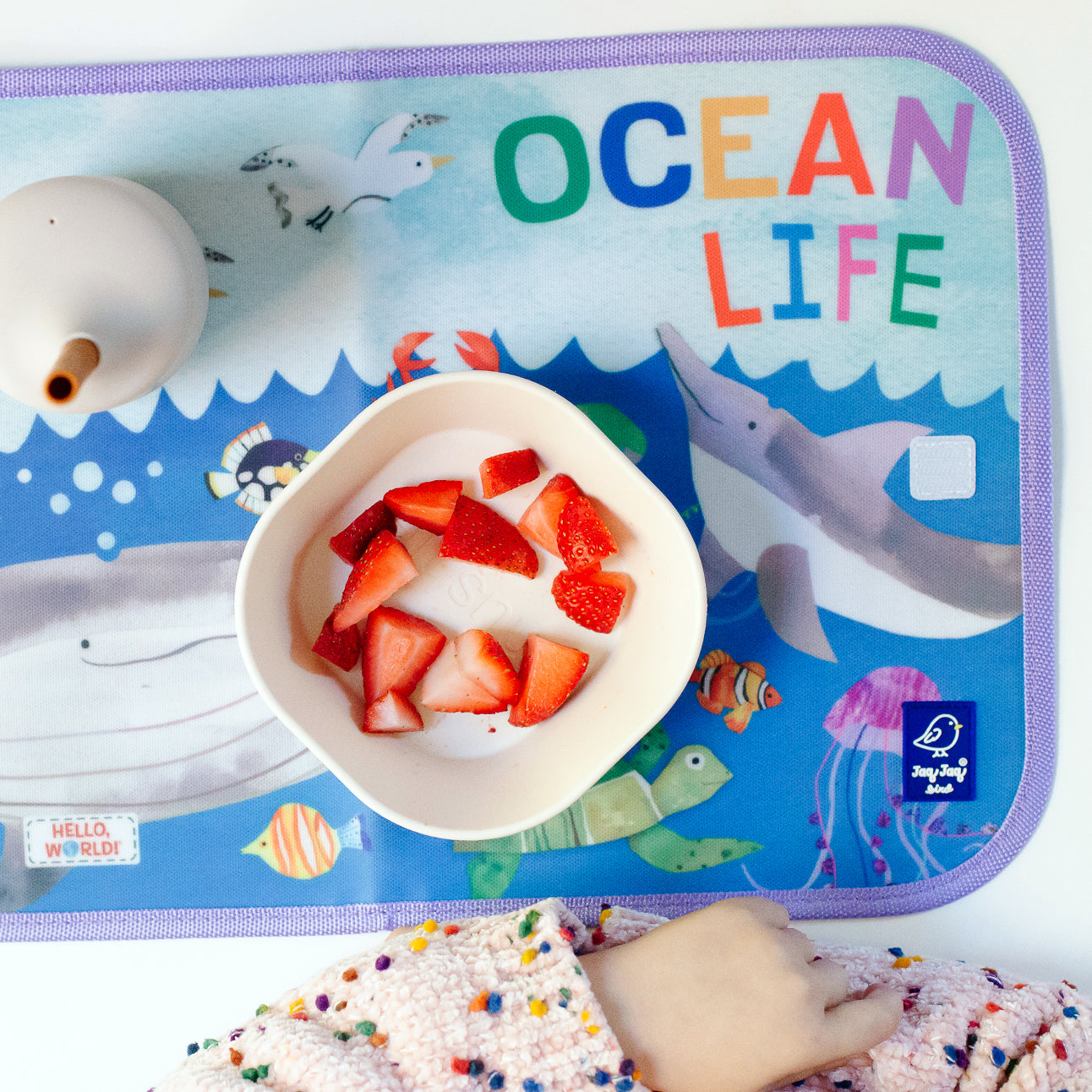 Ocean Activity Place Mat and Chalkboard Reusable Mat – Jaq Jaq Bird